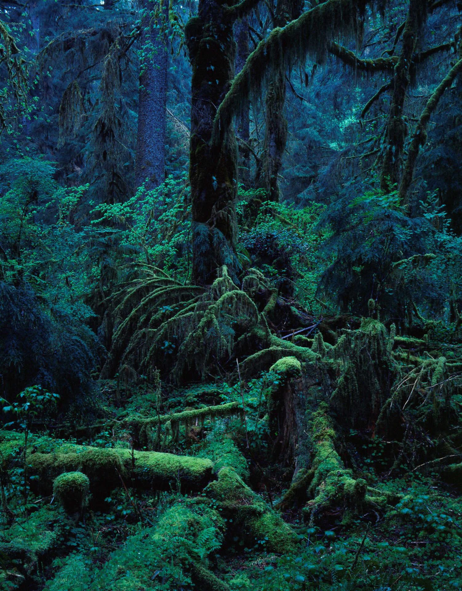 Yoshihiko Ueda | Galerie Taménaga