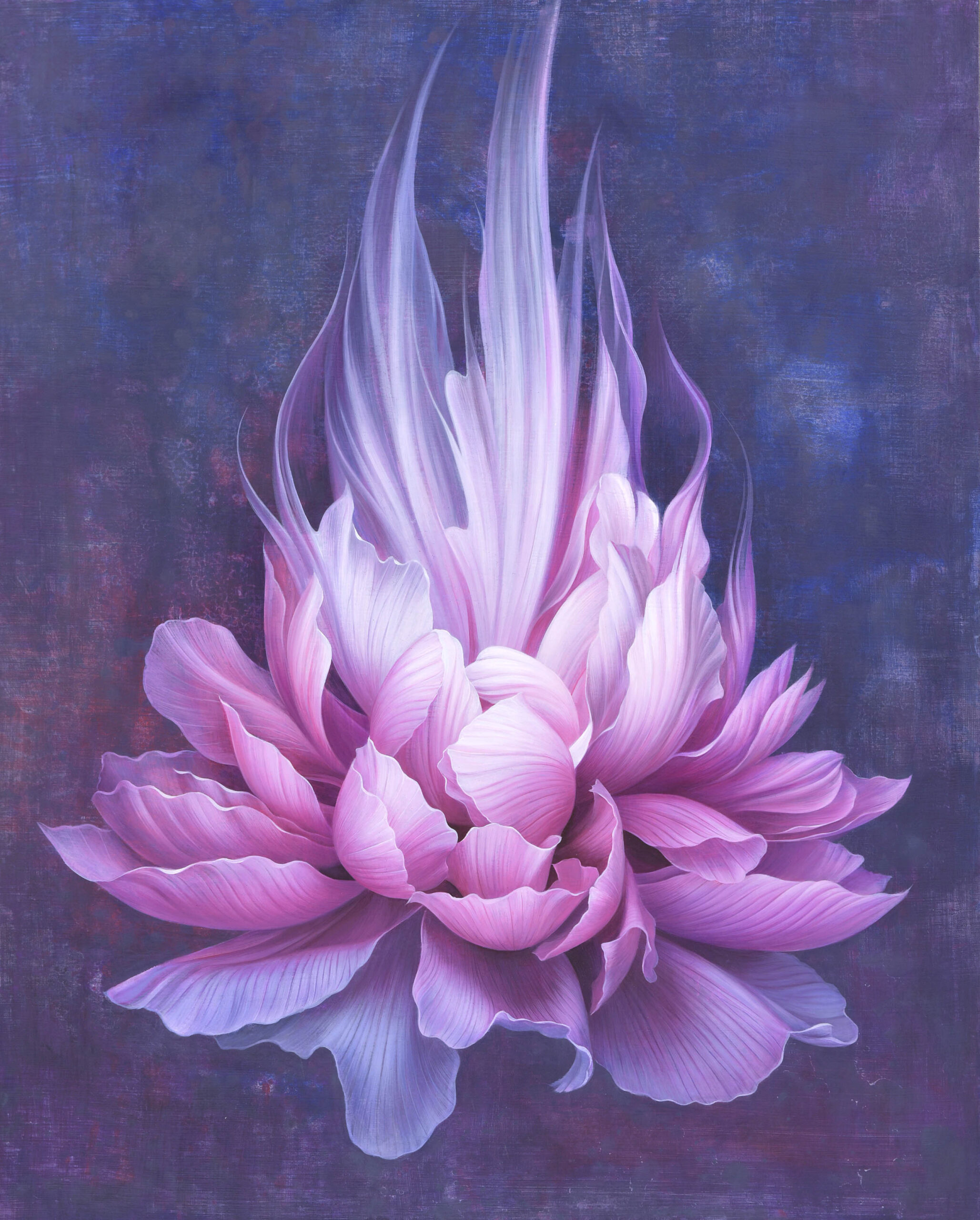 木村佳代子「VIS VIVA FLORA」 | ギャルリーためなが