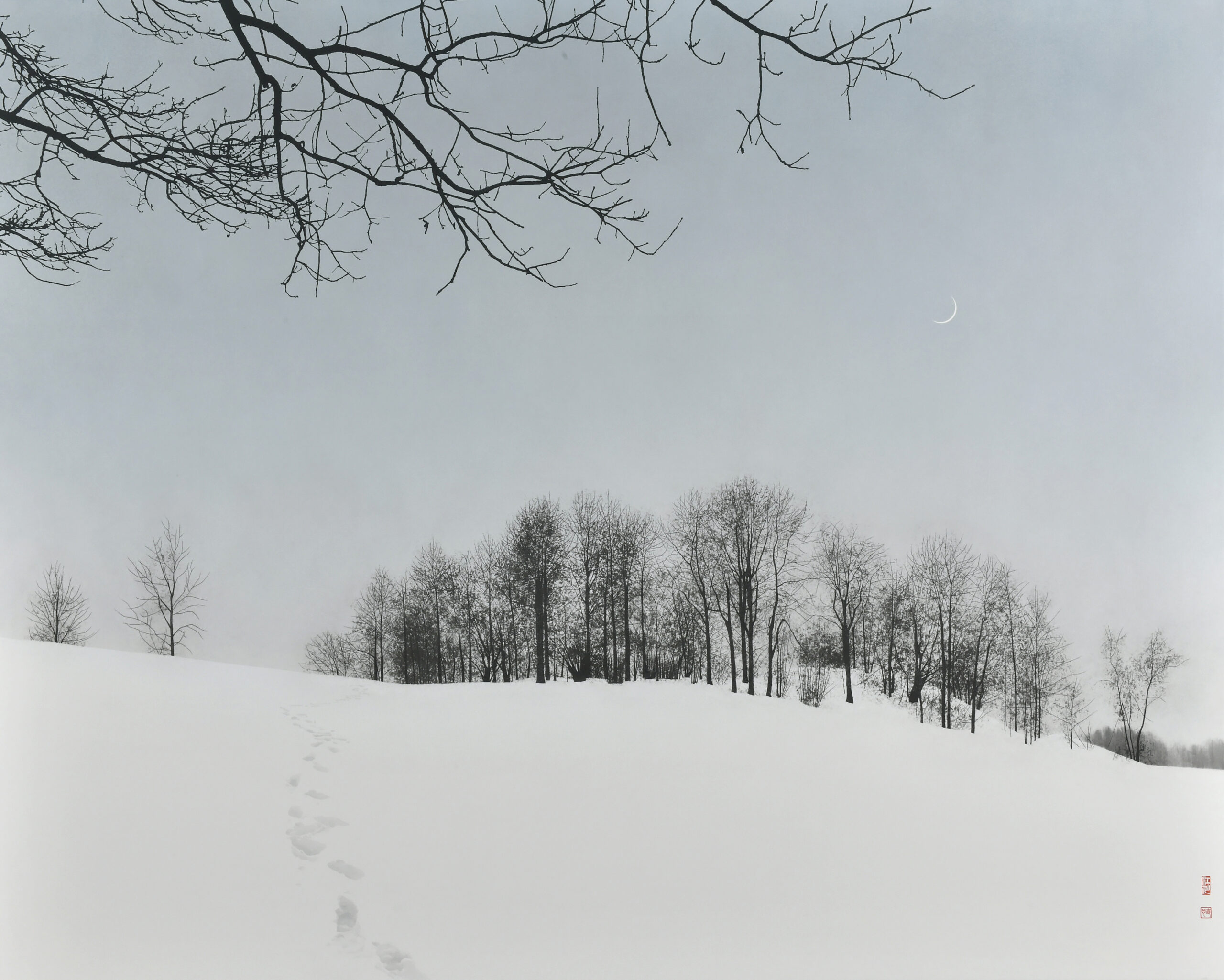 Naoya EGAWA Solo Exhibition | Galerie Taménaga